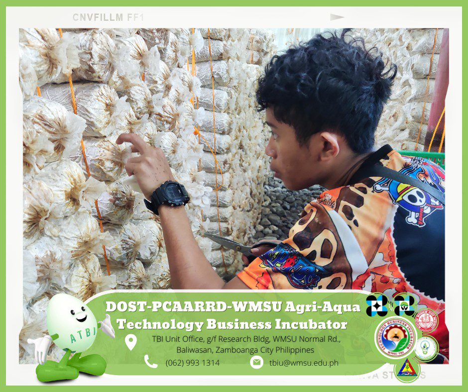 Oyster Mushroom Production Training - WMSU - TBIU Oyster Mushroom Production Training - WMSU - TBIU